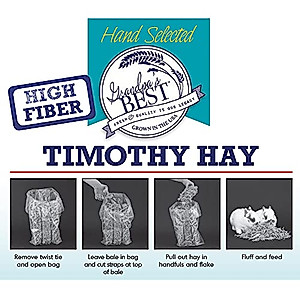 Grandpa's Best Timothy Hay Mini Bale, 10 Lbs (Packaging may vary),Brown