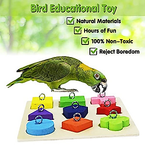 BWOGUE 12PCS Bird Training Toys Parrot Intelligence Toy Mini Sneaker Skateboard Parrot Wooden Block Puzzles Toy Bird Basketball Toy Stacking Rings for Budgie Parakeet Cockatiel Conure Lovebird