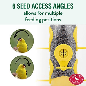 Perky-Pet 481F Finch Feeder With Flexports – 1.5 lb Capacity