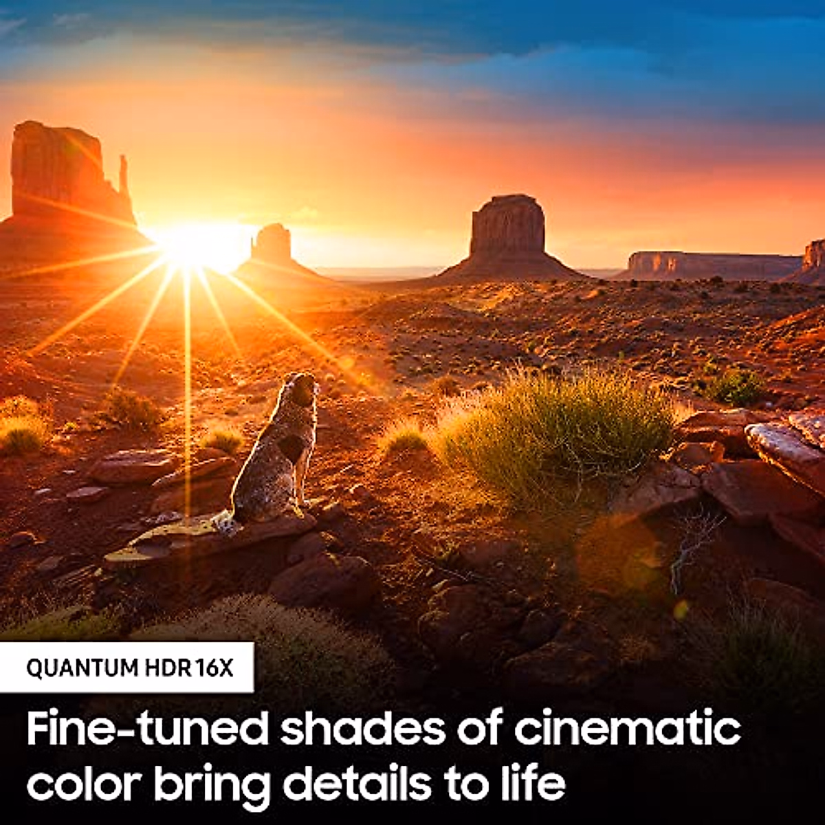 SAMSUNG 65-Inch Class QLED 4K UHD Q90T Series Quantum HDR Smart TV w/Ultra Viewing Angle, Adaptive Picture, Gaming Enhancer, Alexa Built-in (QN65Q90TDFXZA)