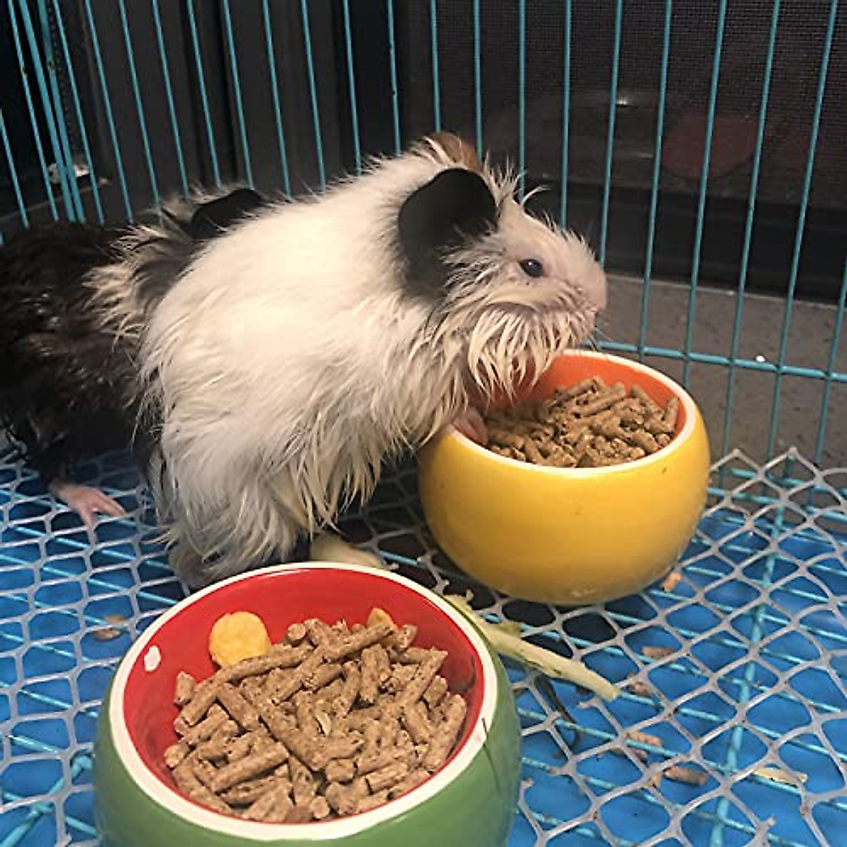 HERCOCCI Hamster Food Bowl, Ceramic - Rabbit Food Dish and Water Bowl for Bunny Guinea Pig Gerbil Ferret Syrian Hamster Chinchilla (2 Pack)