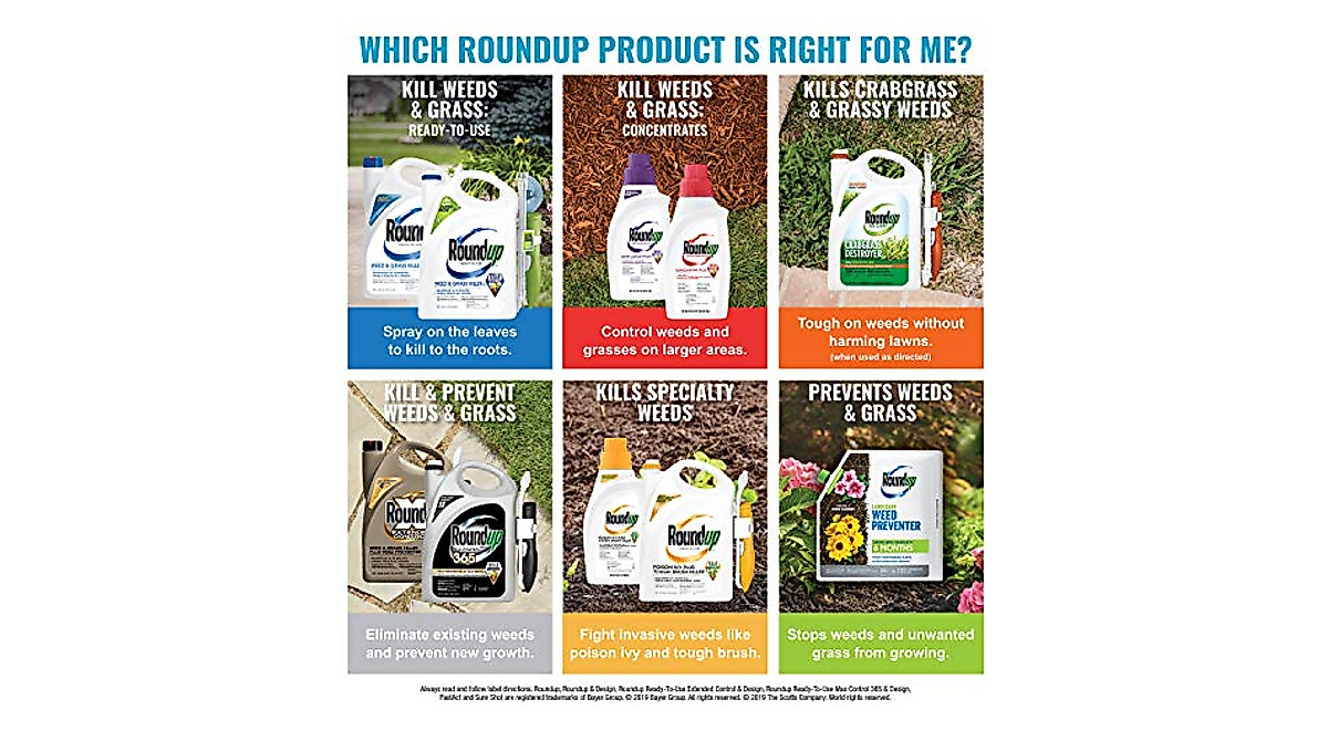 Roundup Super Concentrate Weed & Grass Killer | Fast & Effective Control