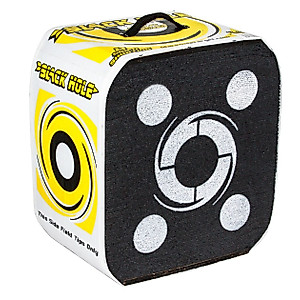 Field Logic Black Hole Archery Target 18" and Flambeau Outdoors 6461SC Safe Shot Bow Case | Portable Archery Target and Bow Storage Case