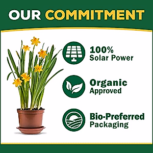 Espoma Organic Iron-Tone 3-0-3 Organic Fertilizer and Plant Food to Help Correct Iron Deficiency (Chlorosis). 5 lb. Bag. Turns Yellow to Green, Non Staining Iron