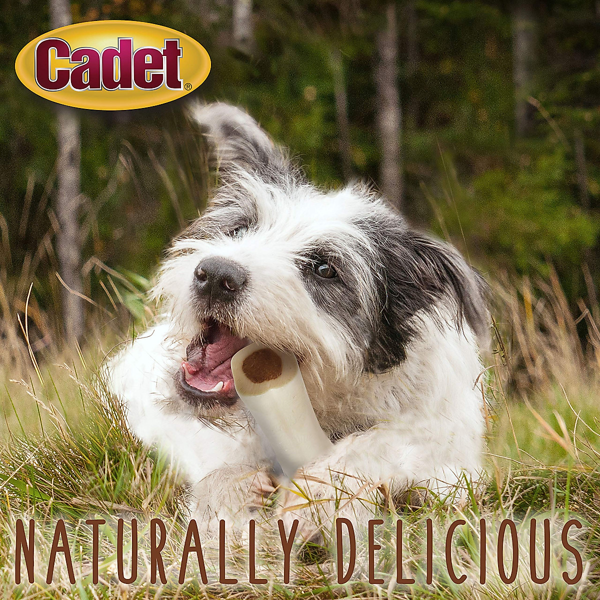 Cadet Junior Stuffed Shin Bones - Highly Digestible, High Protein, Long-Lasting Dog Chew Bone for Aggressive Chewers, Supports Dental Health, - Peanut Butter Flavor, Petite (2 Count)