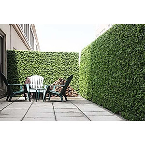 Artificial Boxwood Hedge, Faux Greenery Wall, Privacy Hedge Screen, UV Protected Faux Greenery Mats, Boxwood Wall, Suitable for Both Outdoor or Indoor (20x20 Inch DarkG_12pc)