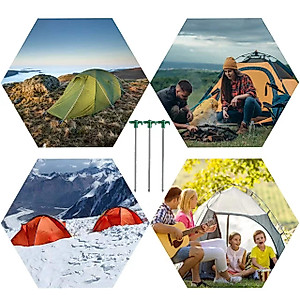 Tiomues Tent Stakes, 10PCS Heavy Duty Tent Stakes Pegs, Outdoor Camping Windproof Professional Ground Stakes, Metal Tent Pegs for All Kinds of Ground, Specially Designed for Tent Canopies
