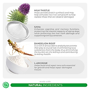 Milk Thistle for Cats - 4oz Powder - Natural Liver Support for Cats - with Same and L-Arginine - Detox, Hepatic Support, Promotes Liver Healthy Function for Cats, Kidney Support (for Cats)