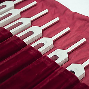 Biosonics Set of 8 Solar Harmonic Spectrum Tuning Forks