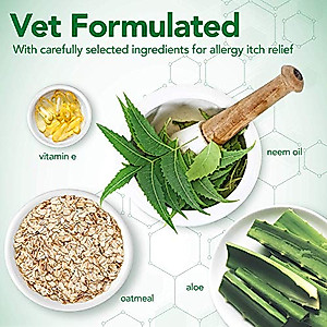 Vet's Best Waterless Cat Bath | No Rinse Waterless Dry Shampoo for Cats | Veterinarian Formulated | 4 Ounces