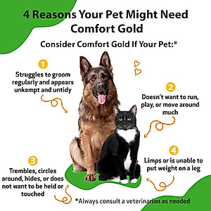 Pet Wellbeing Comfort Gold for Dogs - Supports Canine Physical Comfort, Healthy Circulation, Corydalis, Turmeric - Veterinarian-Formulated Herbal Supplement 4 oz (118 ml)