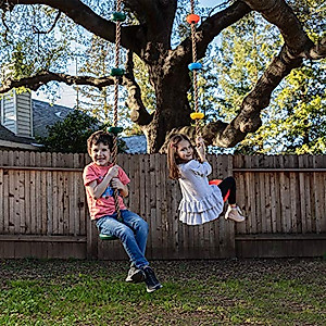 LAEGENDARY Tree Swing for Kids - Single Disk Outdoor Climbing Rope w/Platforms, Carabiner & 4 Ft Tree Strap - Playground Accessories - Multicolored