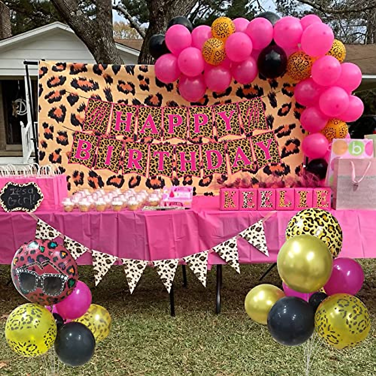 Cheetah Birthday Decorations Set - Pink Leopard Print Party Decorations Cheetah Happy Birthday Banner Balloon Garland Cake Toppers Stickers for Girls Pink Cheetah Party Supplies,Safari Animal Party