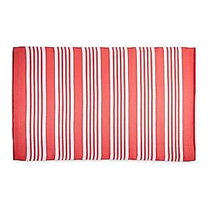 DII Outdoor Rug Collection Reversible Woven Polypropylene Plastic Straw Mat, 4x6-Feet, Coral