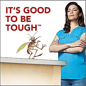 Raid Flying Insect Killer (15 OZ (Pack - 6))