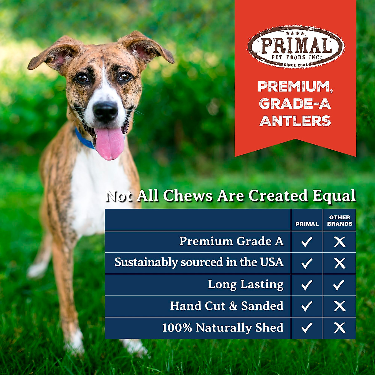 Primal Antlers for Dogs - Grade A Split Elk Antlers for Small Dogs up to 15 lb - Natural Dog Chews for Aggressive Chewers - Naturally Shed Antlers - Long Lasting Dog Bones - 1 ct