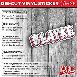 Custom Name Sticker Personalized Customize Name Colors Stickers Cute Die-Cut Waterproof Vinyl Sticker for Laptop Water Bottle Phone Case Cars Decor Decal Stuff Gifts for Her Him Boy Girl Adults Kid