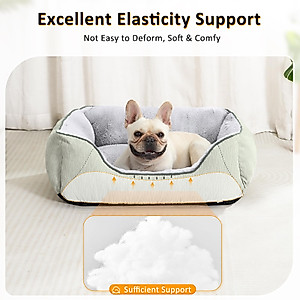 FURTIME Dog Beds for Medium Dogs, Medium Dog Bed 20''x16'' Soft and Comfy Washable Dog Bed, Warming Dog Beds & Furniture Calming Dog Bed Breathable Pet Bed Deluxe Dog Beds with Non-Slip Bottom