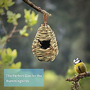 Gute Hummingbird House for Outside, Grass Hanging Wren Finch Song Birds House for Nesting, Hand Woven Hummingbird Nest for Outdoor Tree Decorations Gardening Gift, 2 Pack