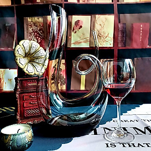 NUTRIUPS Wine Decanter Swan Red Wine Decanters Hand Blown Wine Decanter and Carafe Decanter for Wine