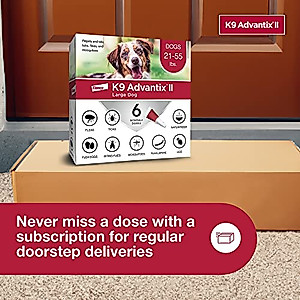 K9 Advantix II Large Dog Vet-Recommended Flea, Tick & Mosquito Treatment & Prevention | Dogs 21 - 55 lbs. | 6-Mo Supply