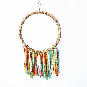 Barn Eleven Parrot Swing Perch Toy Sisal Ring Bird Gnawing Toy Cotton Rope Swing with Colorful Pendant Toys for Small Medium Birds Parakeets Lovebirds Finches Budgerigars Conure (Large)