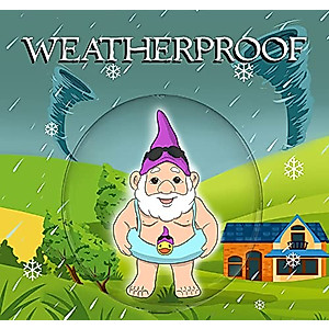 Garden Gnomes Galore Beach Gnomes - Pool Decorations Outdoor Pool Decor - Garden Gnomes Outdoor Funny Garden Gnomes - Gnomes Decorations for Yard Gnome - Poolside Decor Pool Area Decorations Outdoor