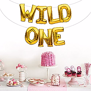 PartyForever Wild One Balloons Banner Gold Foil 1st Birthday Party Decorations and Supplies Sign