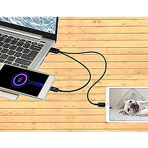 CERRXIAN 8 Inch USB 2.0 Type A Male to Dual Micro USB Male Splitter Y Data Charge Connector Adapter Cable (Black)