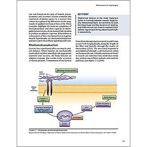 Science and Development of Muscle Hypertrophy