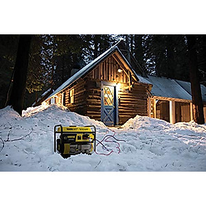 Champion Power Equipment 200915 1500/1200-Watt Portable Generator, CARB