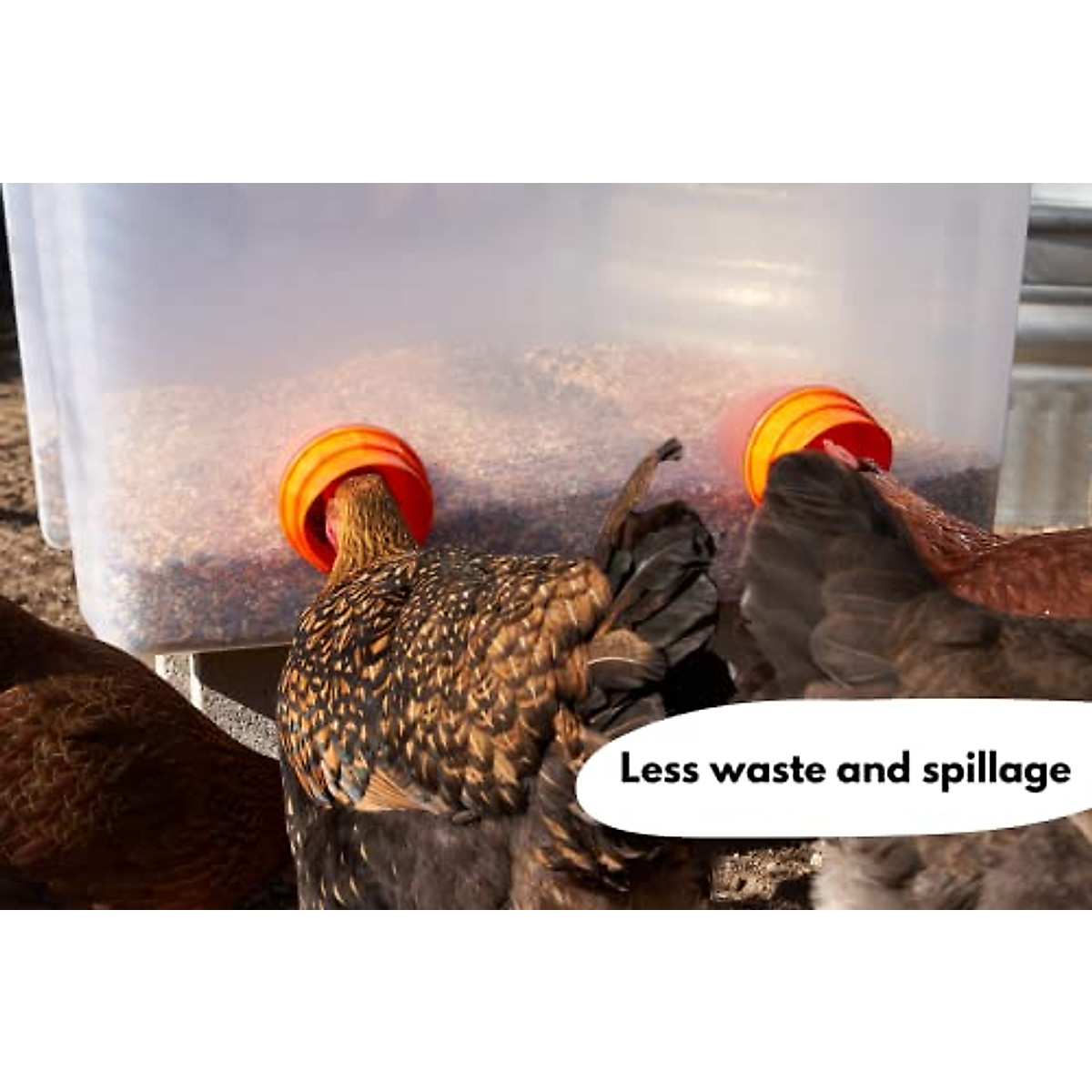 Roosty's® Rat Proof Chicken Feeder Kit - Rodent Proof Chicken Feeder with SmartStopper Caps - Chicken Feeders No Waste Rodent Proof, Poultry Feeder, Chicken Feeder Port - No Waste Chicken Feeder