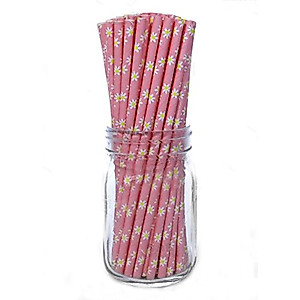 BarConic® Paper Straws - Daisy - 100 pack