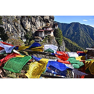 100% Cotton Healing Lama Original Tibetan Wind Horse Prayer Flags. Authentic Buddhist Flags Blessed by a Lama. (Pack of 50 Flags(6.5"X6.5")