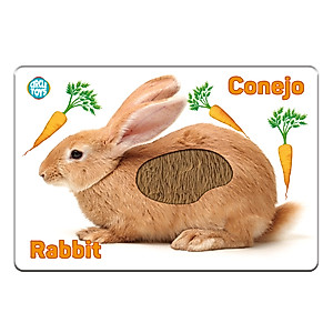 My Touch and Feel English Spanish Bilingual Picture Double Sided Sensory Flash Cards for Infant, Toddlers, Kids, Learn Animals, Fruits, Objects and Vehicles, Fun Learning and Educational Flashcards