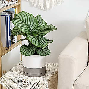 UMIAMOY 6inch Modern Cylinder Matte Ceramic Planter Pot with Drainage Hole and Saucer, Planter Pot for Indoor Outdoor Plants Flowers, White/Gray