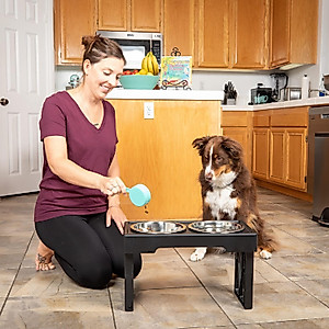 Hyper Pet Elevated Dog Bowls Large Breed, Adjustable Raised Dog Bowls Large Sized Dog Food and Water Feeder - Stainless Steel Dog Bowls
