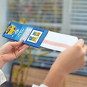 Raid Window Fly Traps, 4 Traps