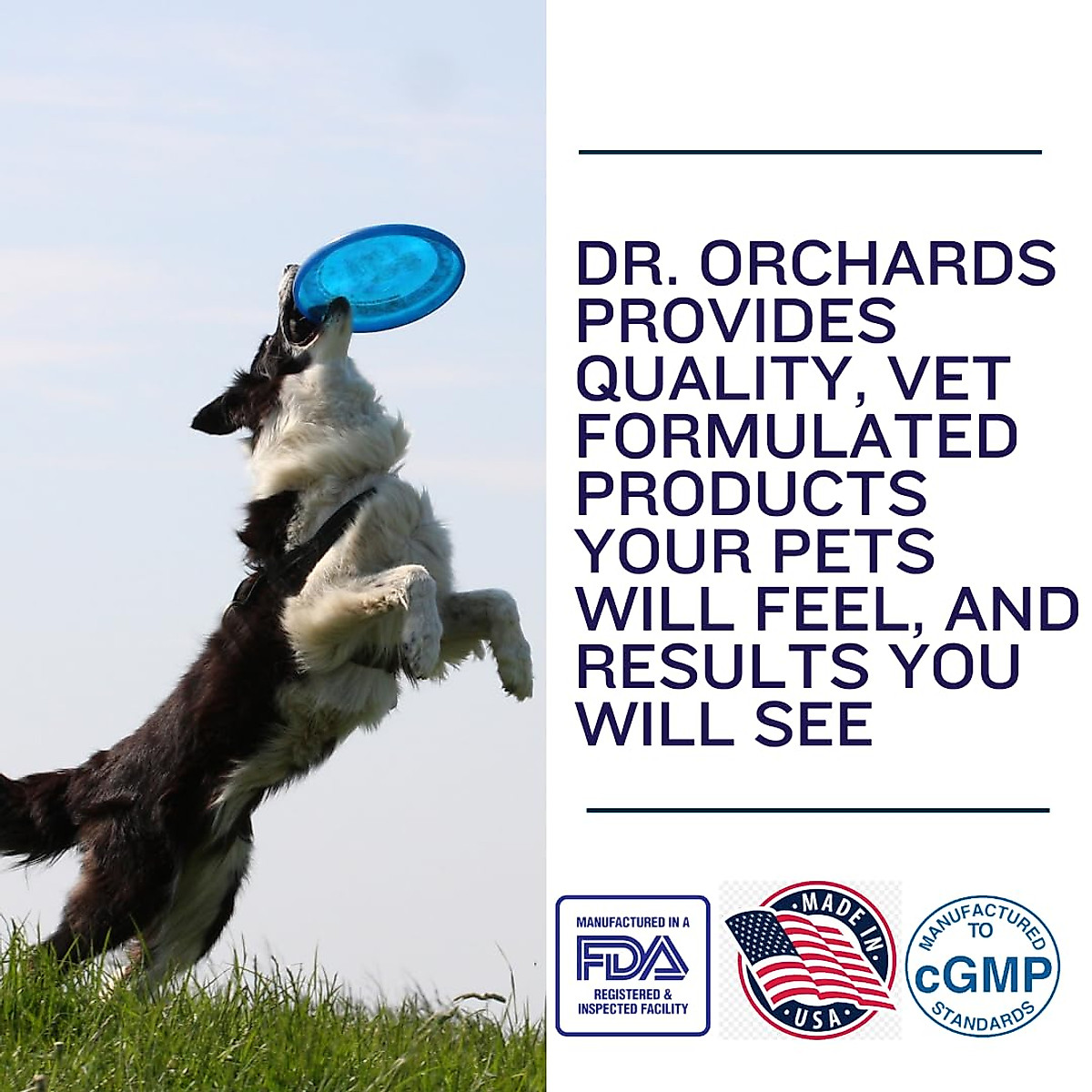 Dr. Orchard's Advanced Hip & Joint Chews - Duck Flavor- (60ct) Pain & Inflamation Relief with Glucosamine, Manganese, Chondroitin, MSM - Dog Chewable Supplement (60 Count)