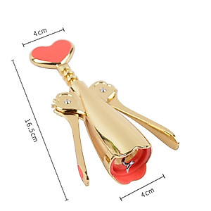 OBALY Wing Corkscrew Wine Opener Set of 3 Pcs Wine Corkscrew Opener/Corkscrews Wine Openers with Foil Cutter and Wine Stopper (Gold)…