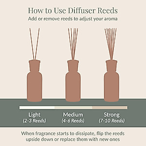 Archipelago Botanicals Mango Tangerine Reed Diffuser, Home Fragrance Reed Diffuser, Includes Fragrance Oil, Decorative Wooden Cap & 10 Diffuser Reeds, Perfect for Home, Office or Gift, 7.85 fl oz