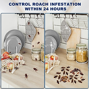 Sumkat Cockroach Gel Bait Ready to Use Roach Control 1 Box (4 Tubes x 30gms)