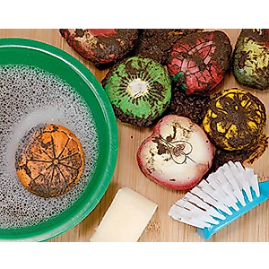 Yellow Door Fruit Sensory Play Stones, Set of 8