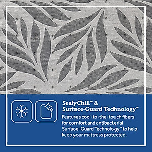 Sealy Posturepedic Plus Mattress with Surface-Guard, Tight Top 12-Inch Ultra Firm, Twin XL, Grey