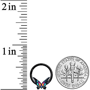 Body Candy Womens 16G Black Plated Steel Hinged Seamless Segment Cartilage Nipple Ring Sunset Butterfly 3/8"