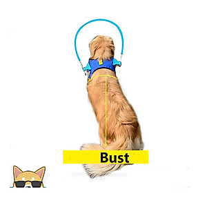 Tutuba Harness for Blind Dog, Safe Blind Dog Harness Guide Device,Protective Vest Ring for Dogs-Prevent Accidents & Build Confidence