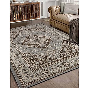 BNM Indoor Large Area Rug, Jute Backing, Traditional Rugs for Living Room, Kitchen, Office, Dorm, Bedroom, Carpet Floor Decor, Oriental Medallion Floral Scroll Indoor Area Rug, 8' x 10', Grey