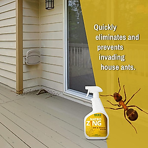 NatroZing Ant & Roach Killer 11 oz Indoors and Outdoors, Ant Spray for Home, Ant Repellent for House, Fast Kill, Prevents for Weeks, Also Kills Roaches Spiders Centipedes