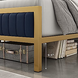HIFIT Bed Frame Queen Size, Queen Bed Frame with Headboard, Heavy Duty Metal Foundation, Upholstered Bed Frame with Velvet Tufted Headboard, Wood Slat Support, No Box Spring Needed, Gold & Navy Blue