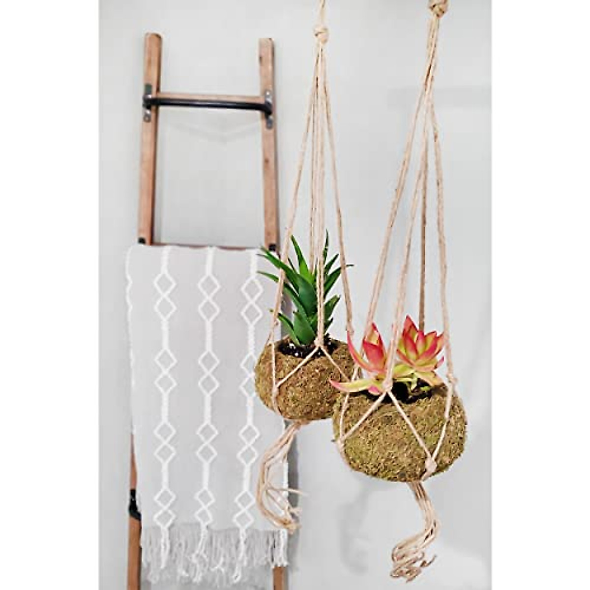 Esterno Kokedama Hanging Planters (Set of 3, 5.5in Diameter); Japanese Moss Ball Plant Holder for Ferns, Succulents, Orchids Etc